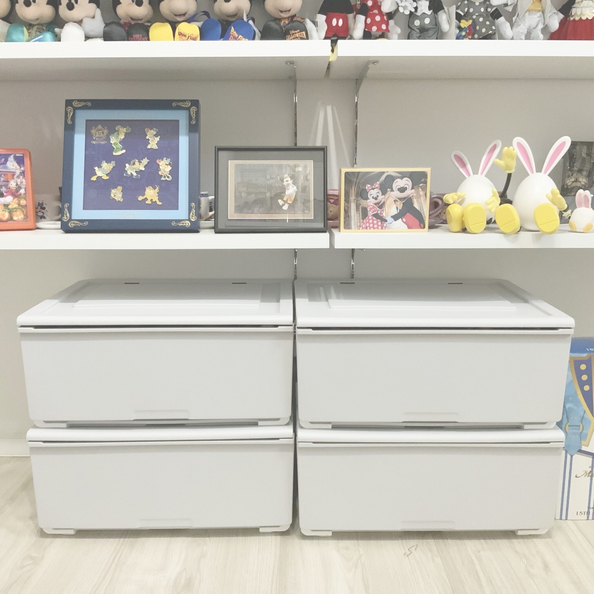 【ディズニー】ぬいば収納！おすすめケースご紹介