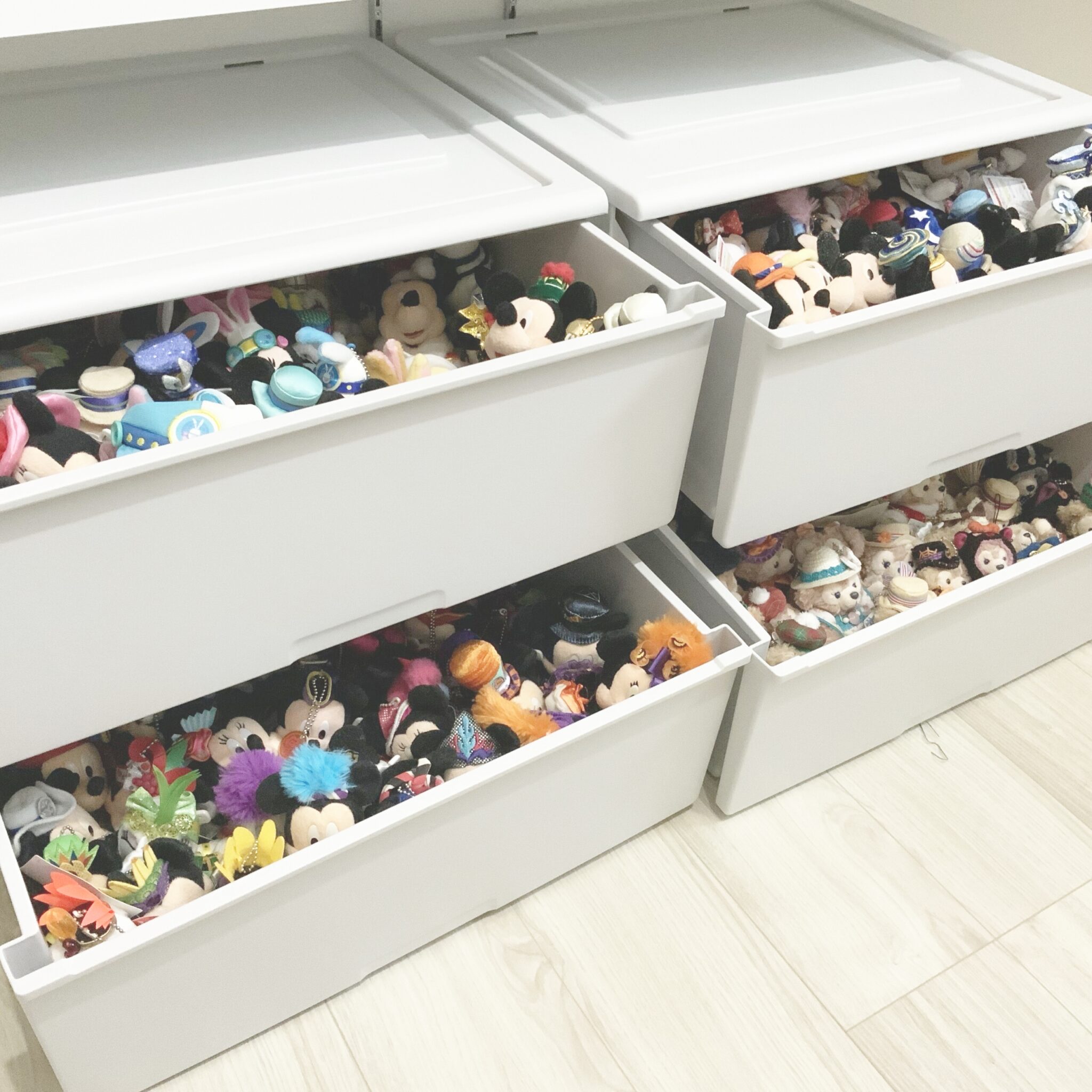 ぬいぐるみバッジ（ぬいば）収納方法【200体コレクターの実例】ニトリで完全管理