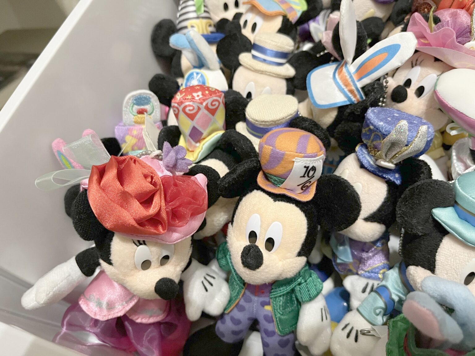 【ディズニー】ぬいば収納！おすすめケースご紹介