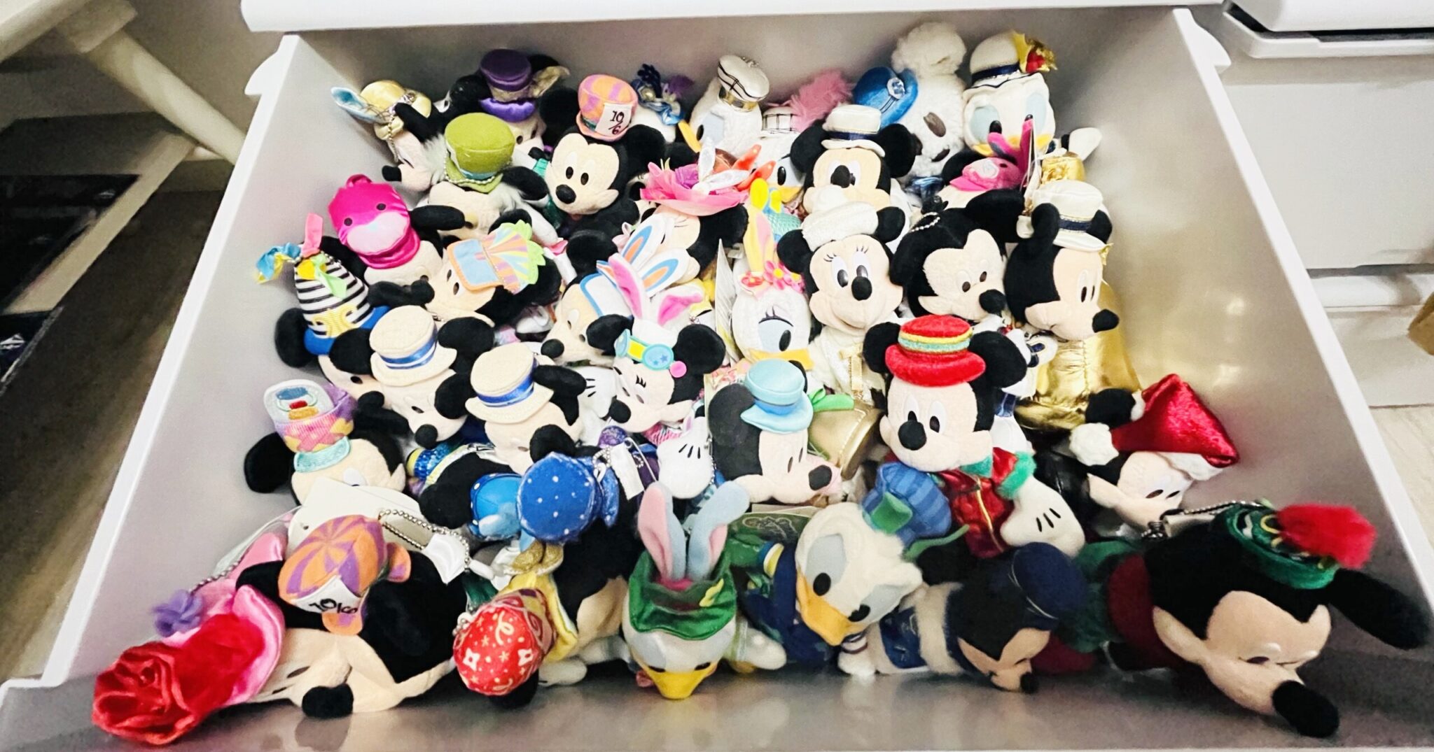 【ディズニー】ぬいば収納！おすすめケースご紹介